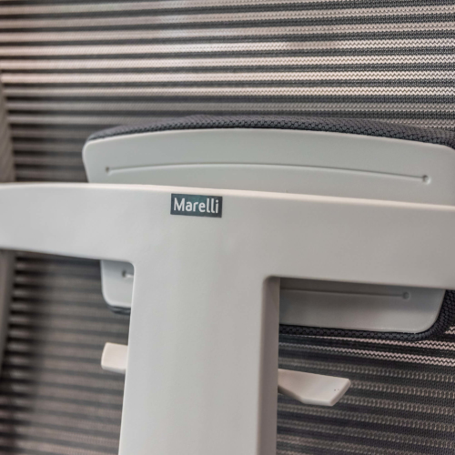 Sustentabilidade Archives - Marelli Blog